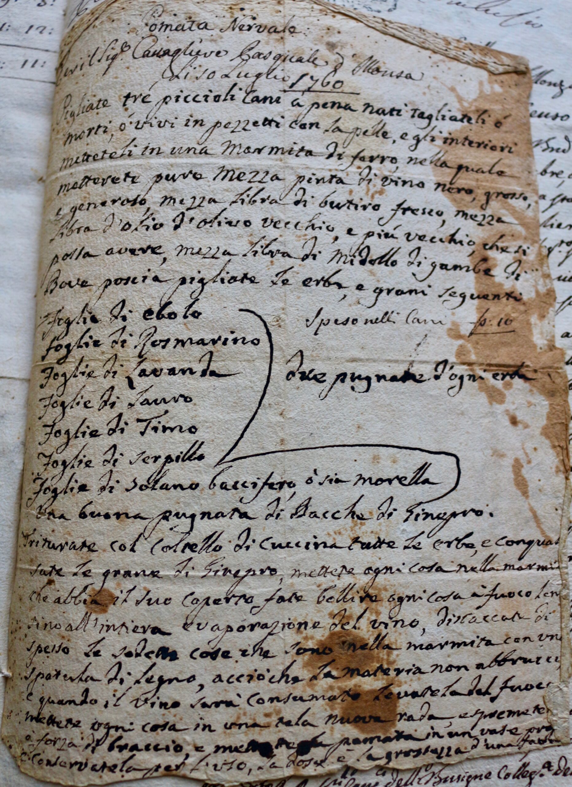 Ricette di casa Pascal d’Illonza - Diocesi di Cuneo-Fossano